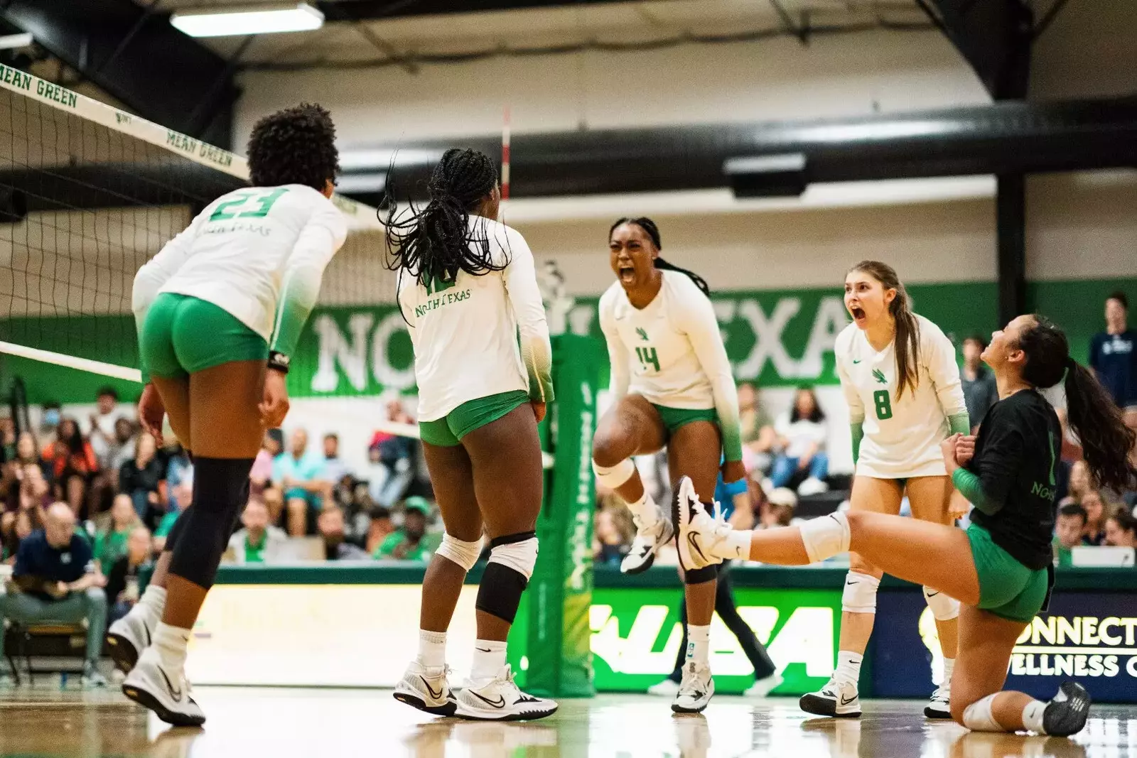 University of North Texas