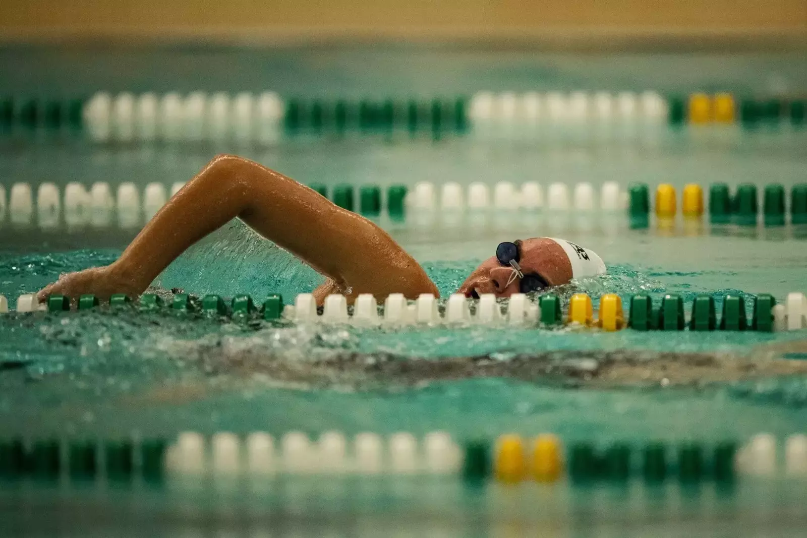 University of North Texas