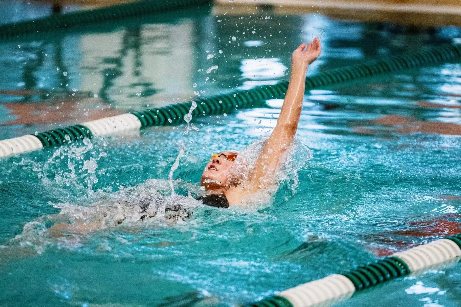 University of North Texas