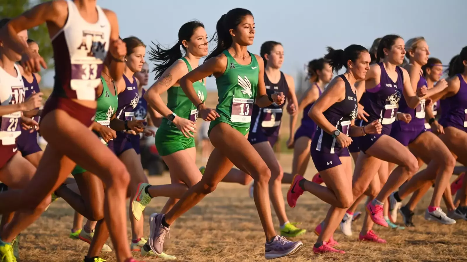 University of North Texas