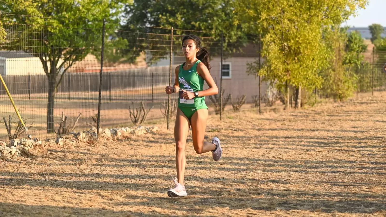 University of North Texas