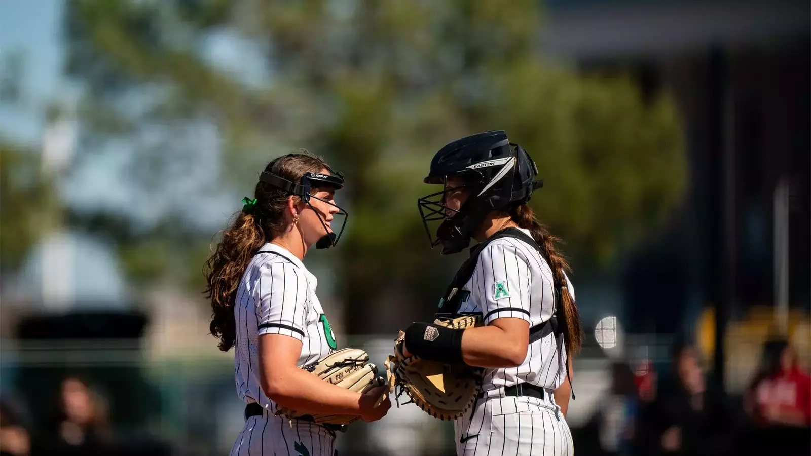 University of North Texas