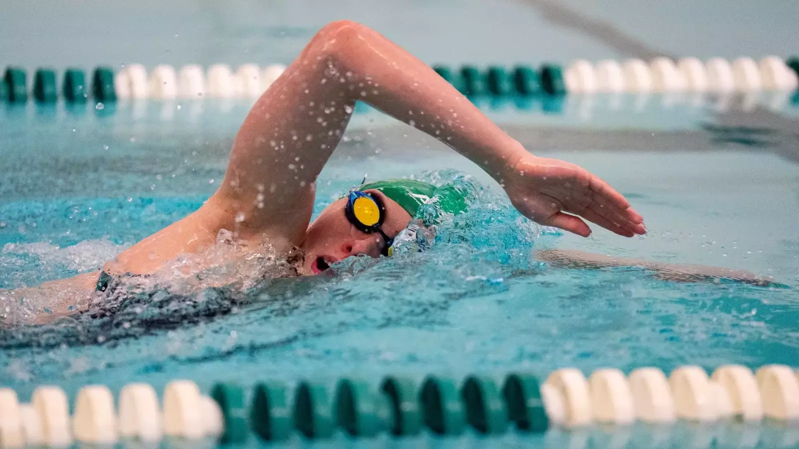 University of North Texas