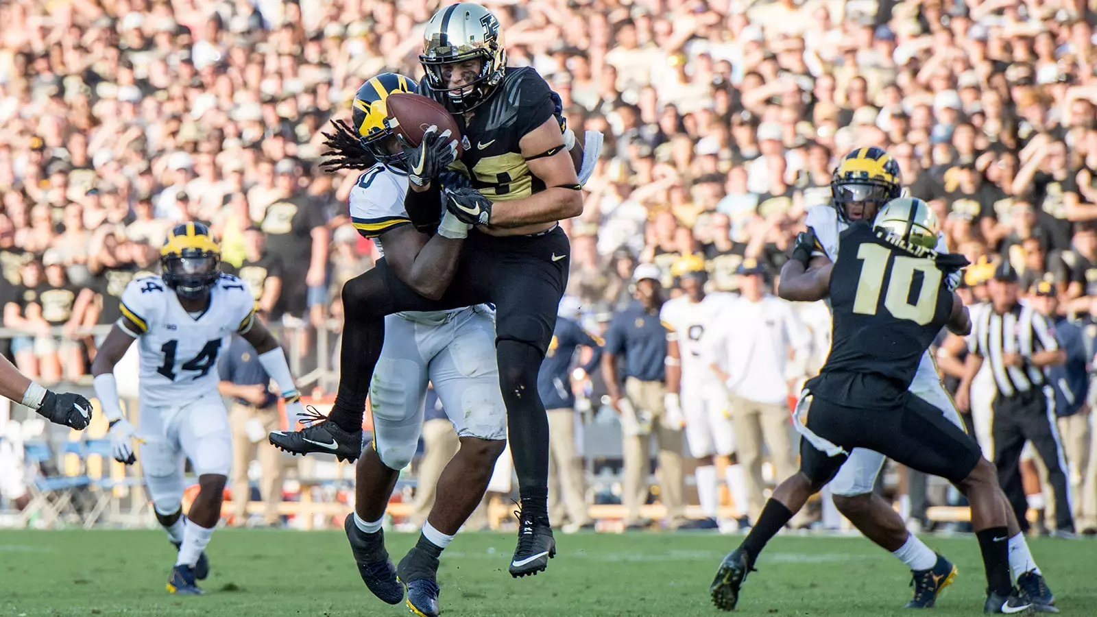 University of Michigan Athletics