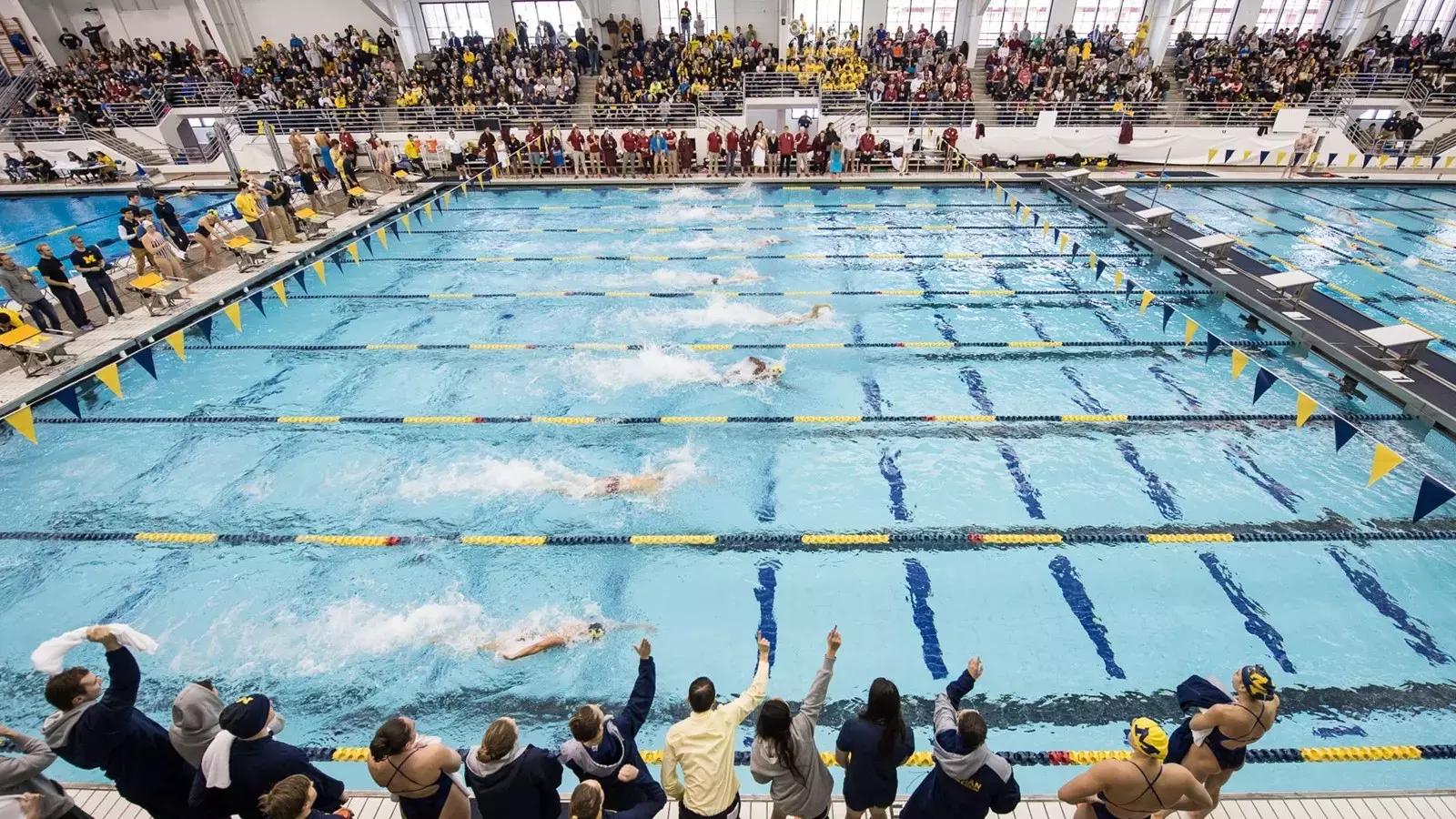 University of Michigan Athletics