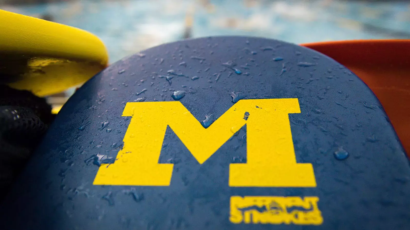 Michigan Lands Nine Women's Swimmers for 2020-21, Transfer for 2020 ...