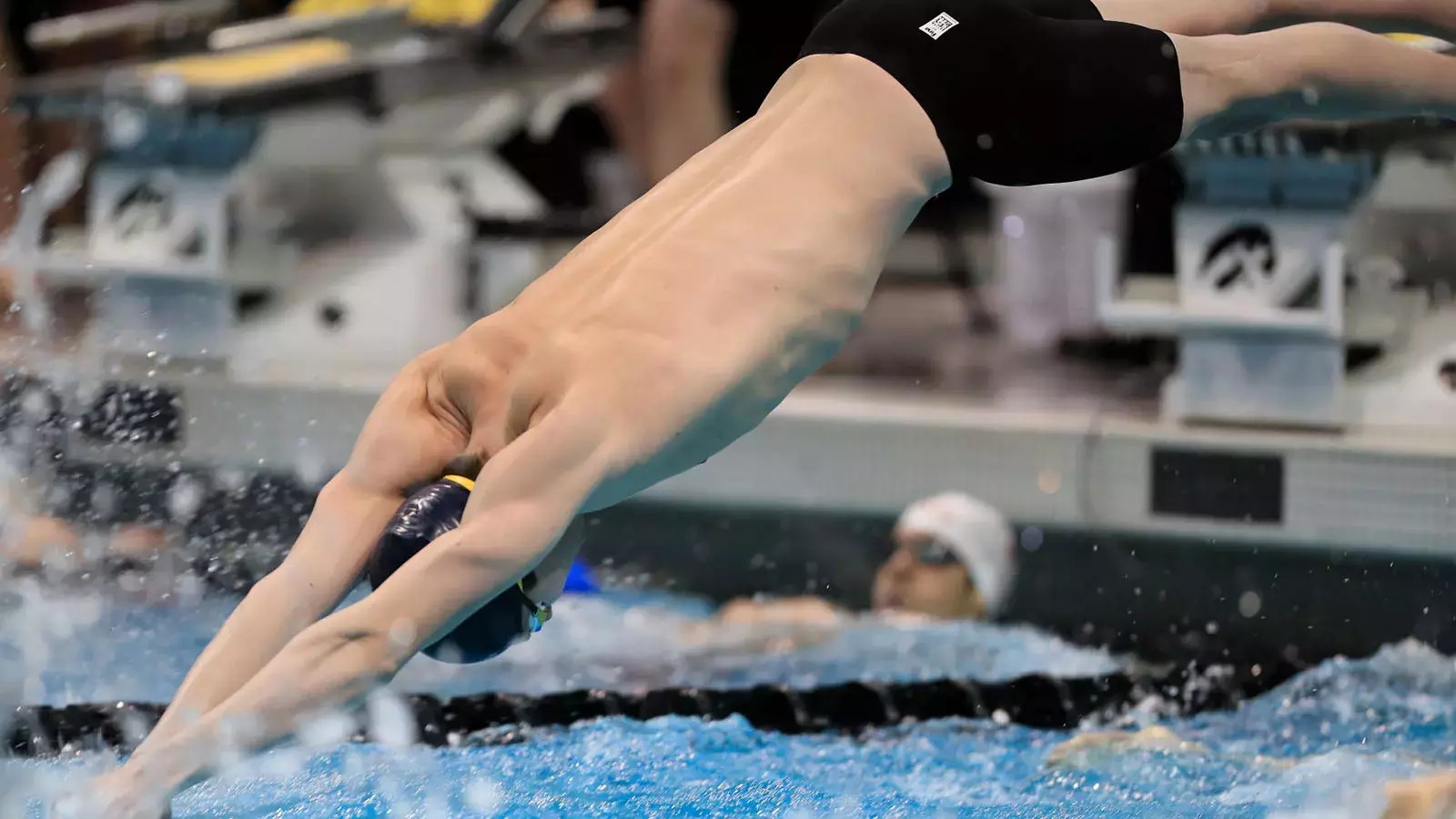U-M to Wrap Season at NCAA Men's Swimming and Diving Championships ...