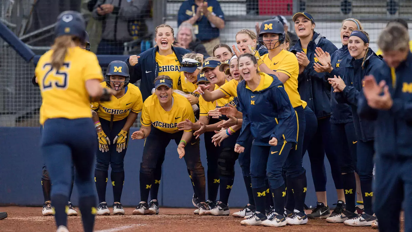 Michigan Run-Rules Saint Francis Behind Big Innings in NCAA Regional ...