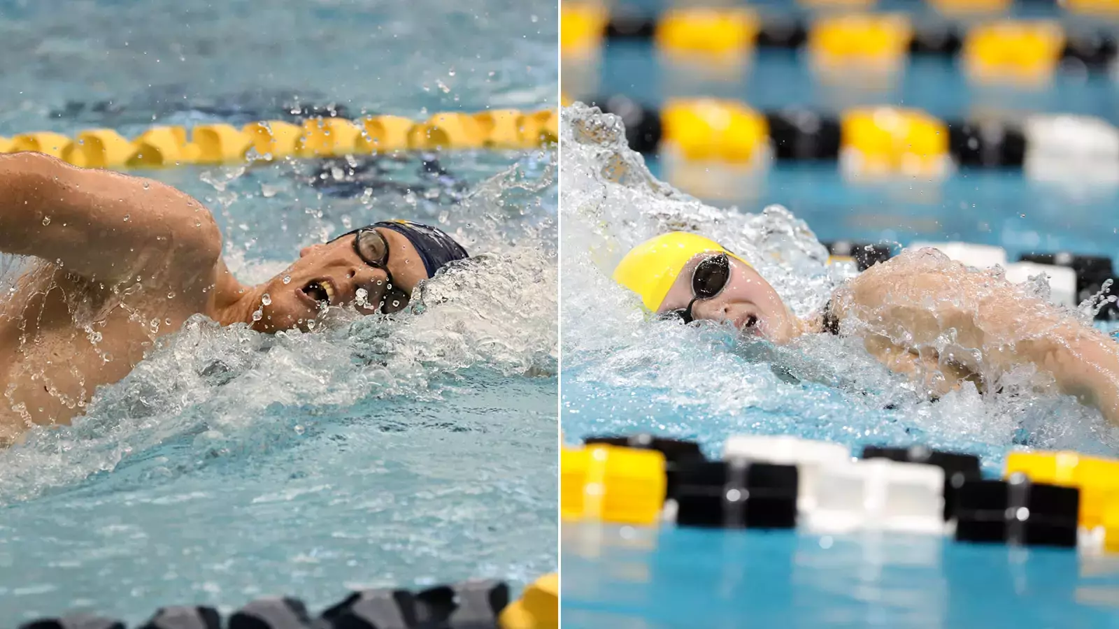 Swimmers Auböck, MacNeil Named 2019-20 Michigan Athletes of the Year ...