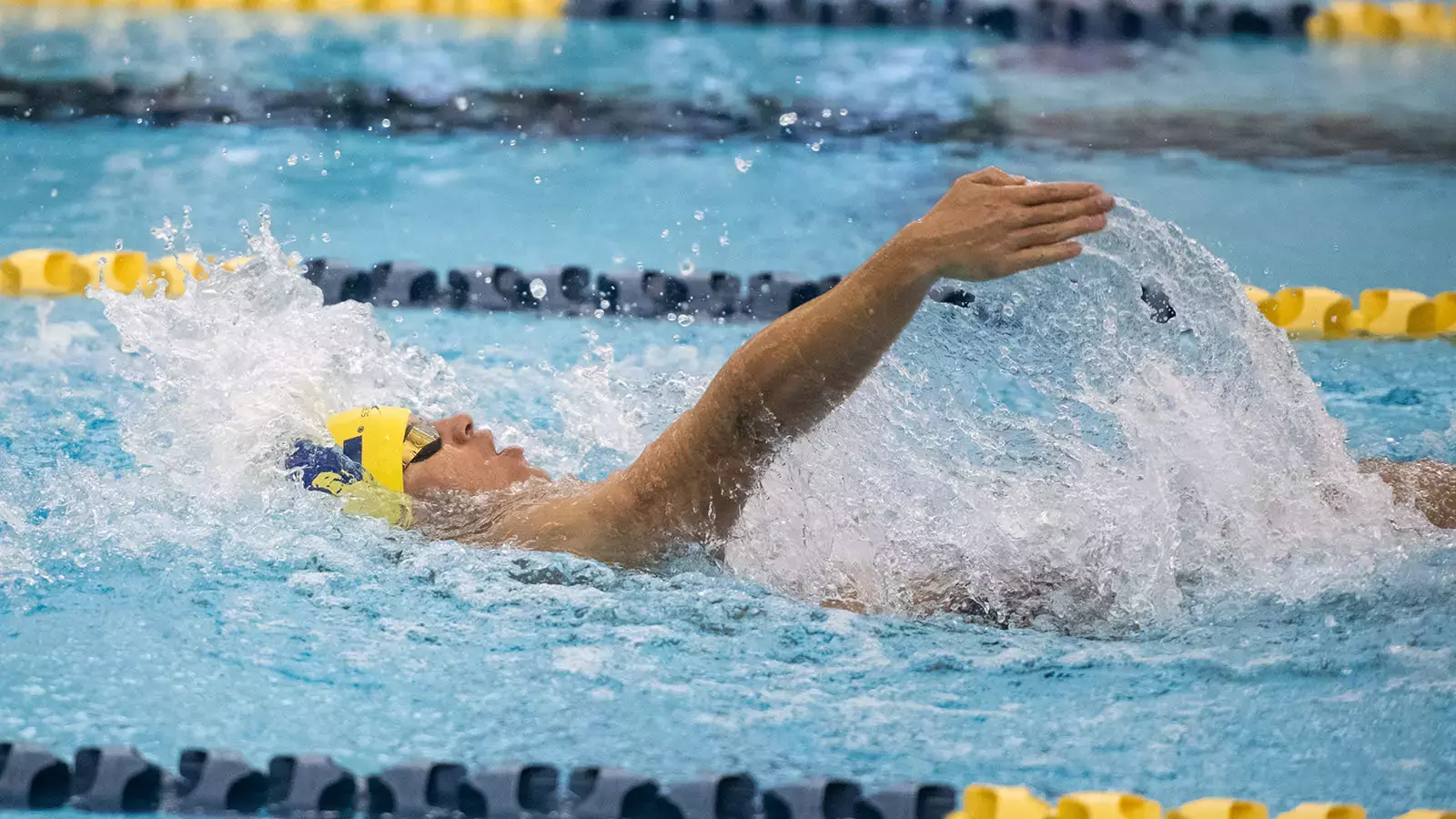 Men's Swimming and Diving Defeats MSU in Return to Canham - University ...