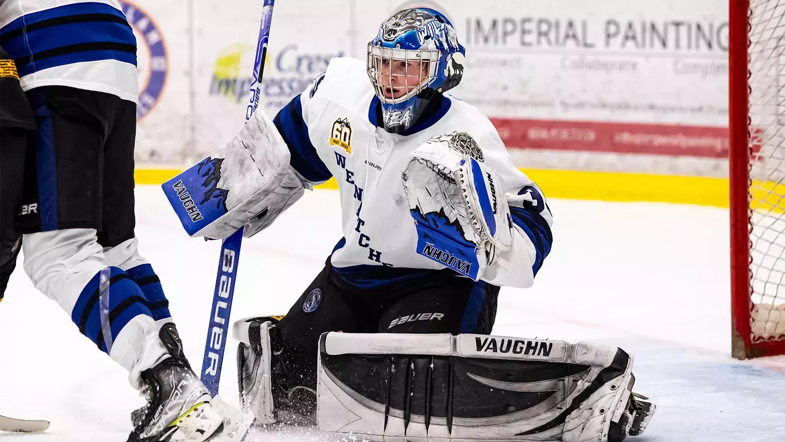 Goaltender Shea Joins Michigan Hockey for 2022-23 Season - University ...