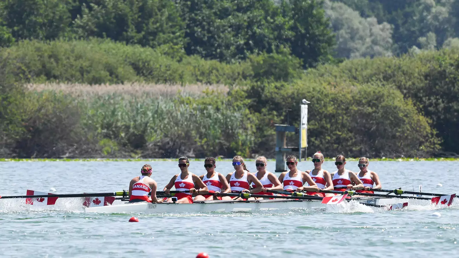 Wolverines, Canadian 8+ Finish Seventh in Italy - University of ...
