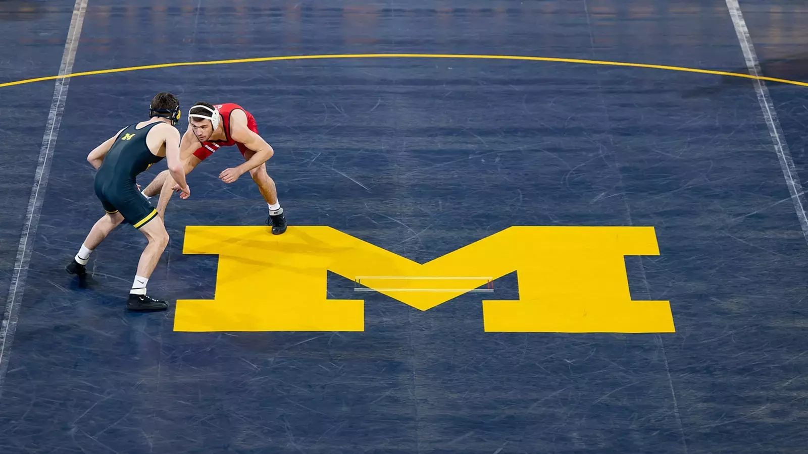 Six Wolverines Earn 2023 NWCA Scholar All-America Recognition ...