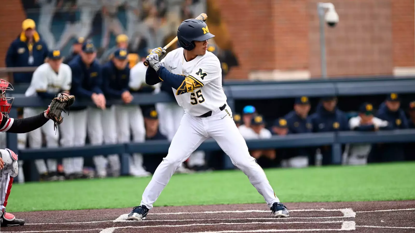 University of Michigan Athletics