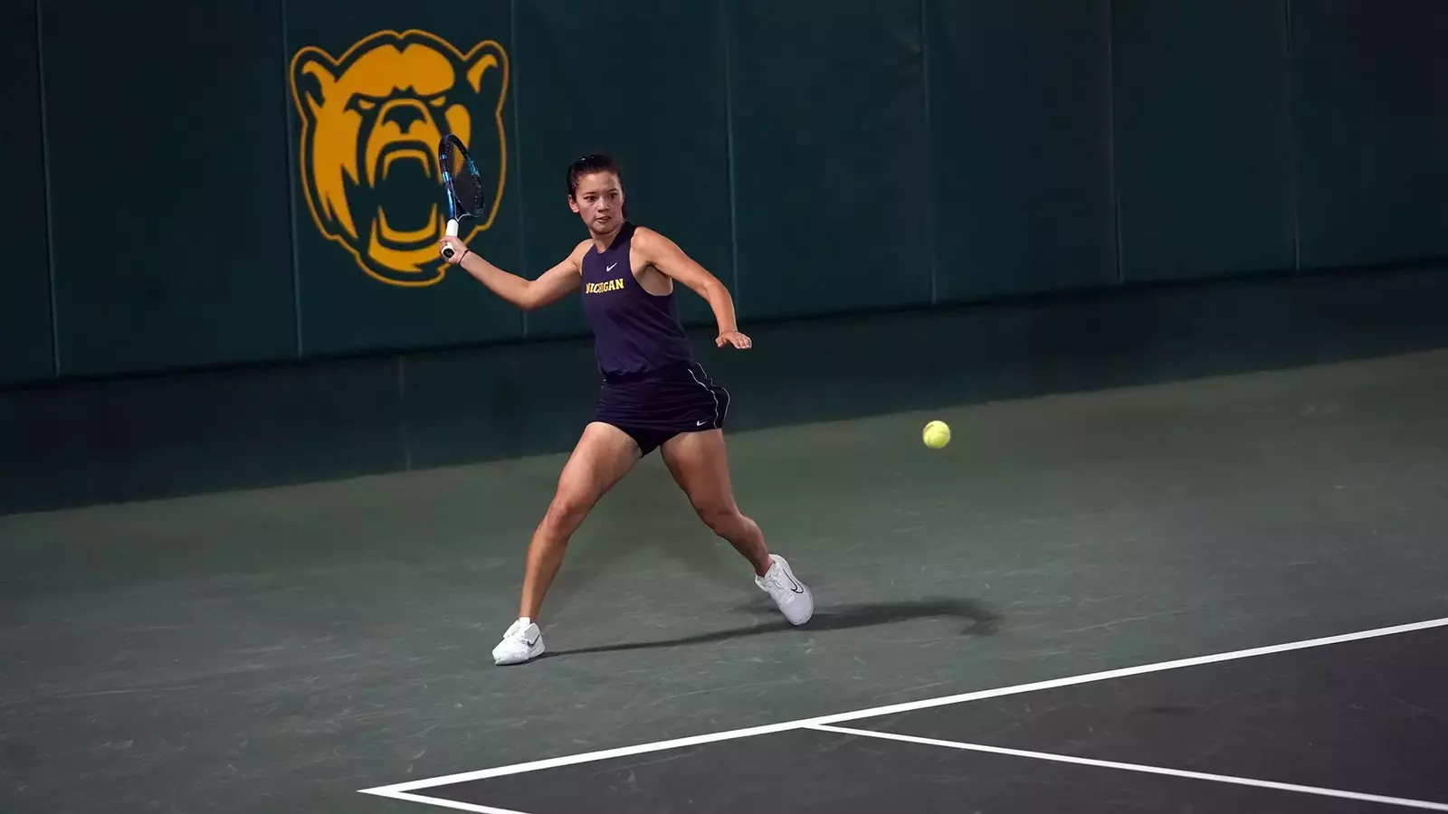 University of Michigan Athletics
