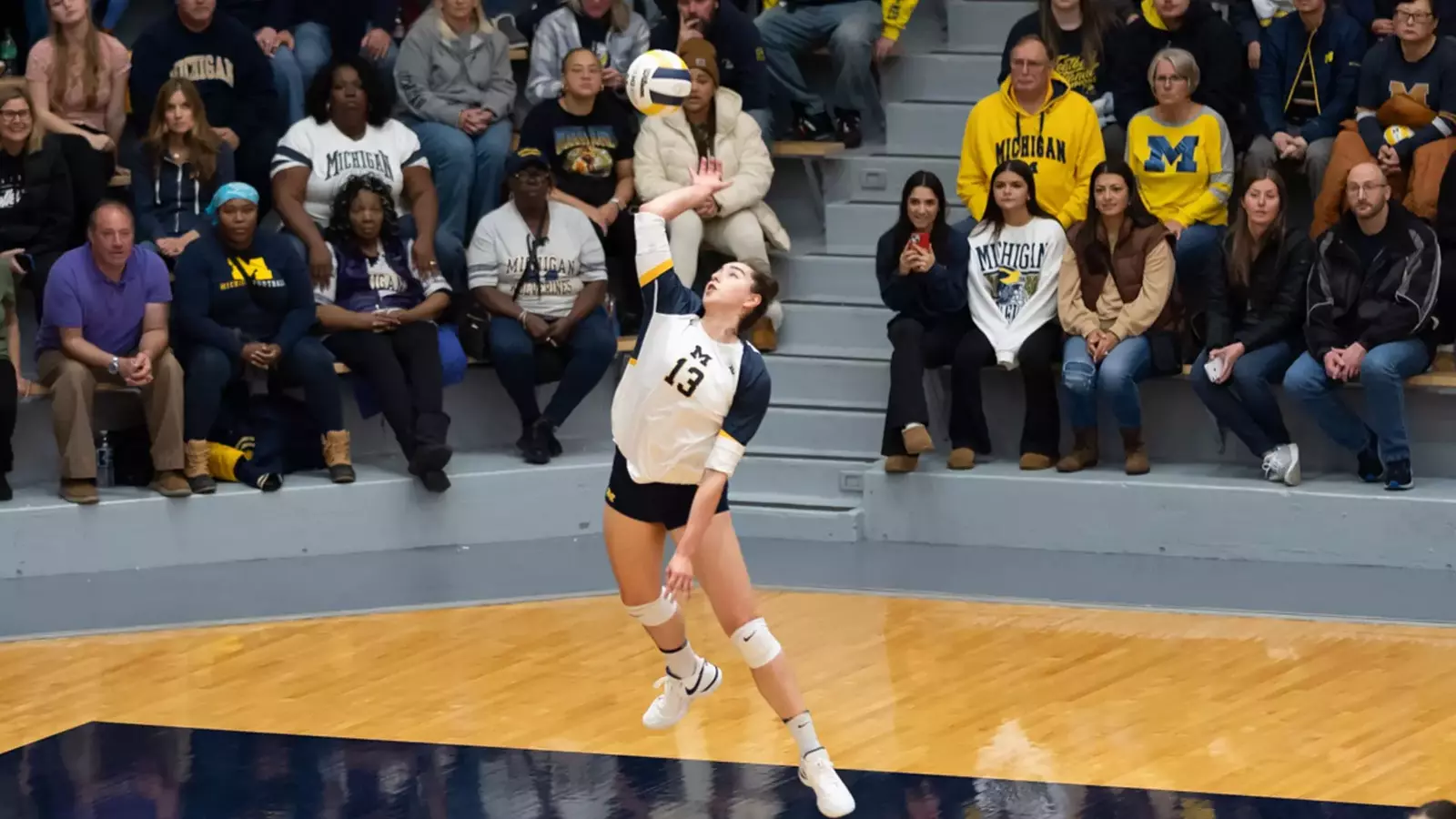 University of Michigan Athletics