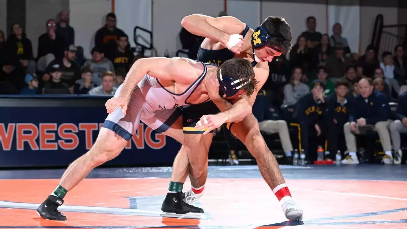 University of Michigan Athletics