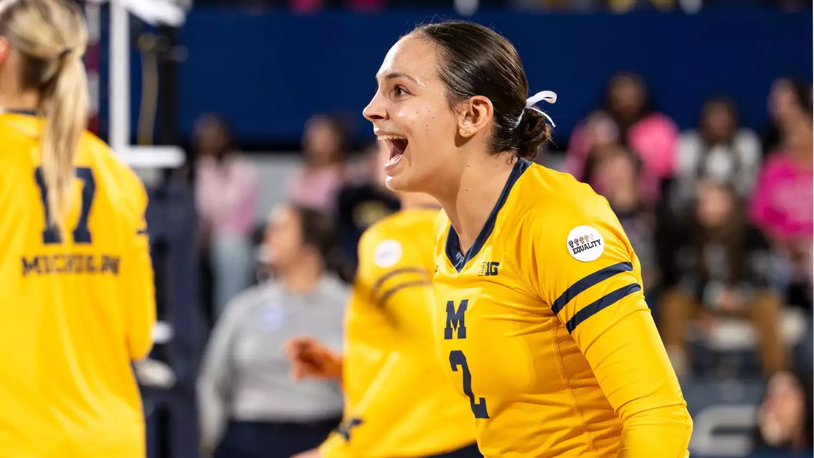 University of Michigan Athletics