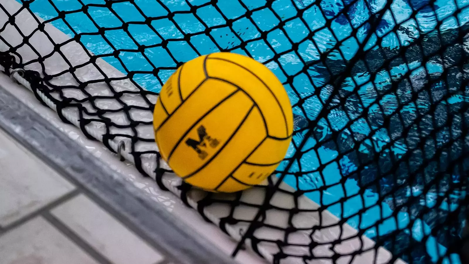 Alsemgeest, Utassy Receive ACWPC All-America Recognition - University ...