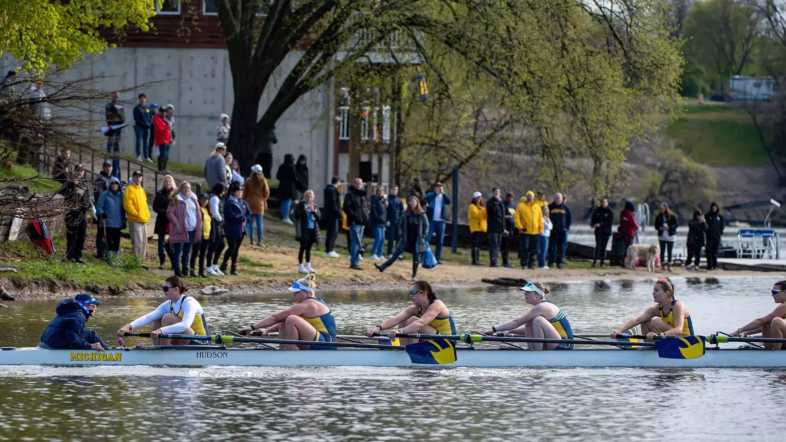 University of Michigan Athletics