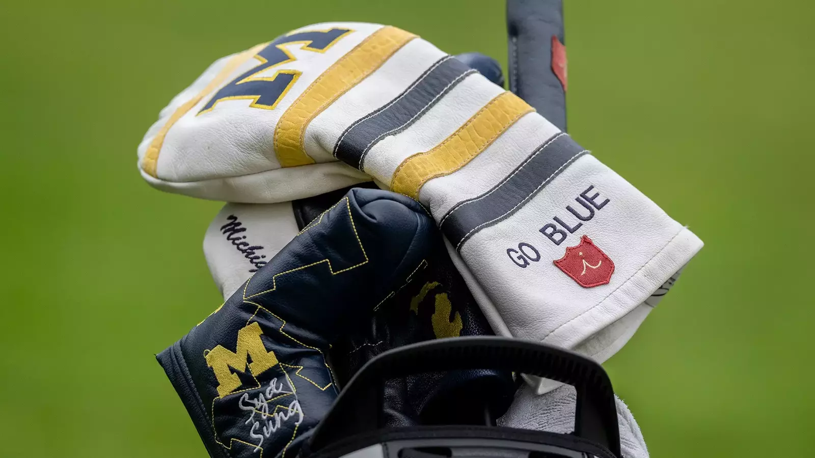 Wolverines Add Shilts, Bartholdson to Incoming Class of 2024 ...