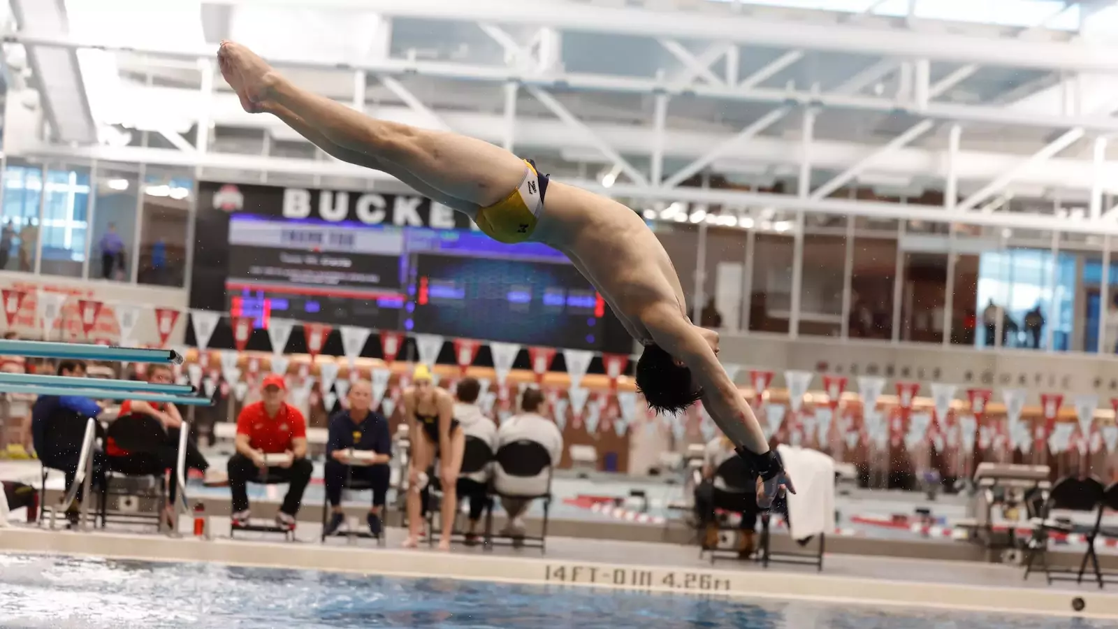 Scholar Stories: Liberman Finds Best of Both Worlds at U-M in Diving ...
