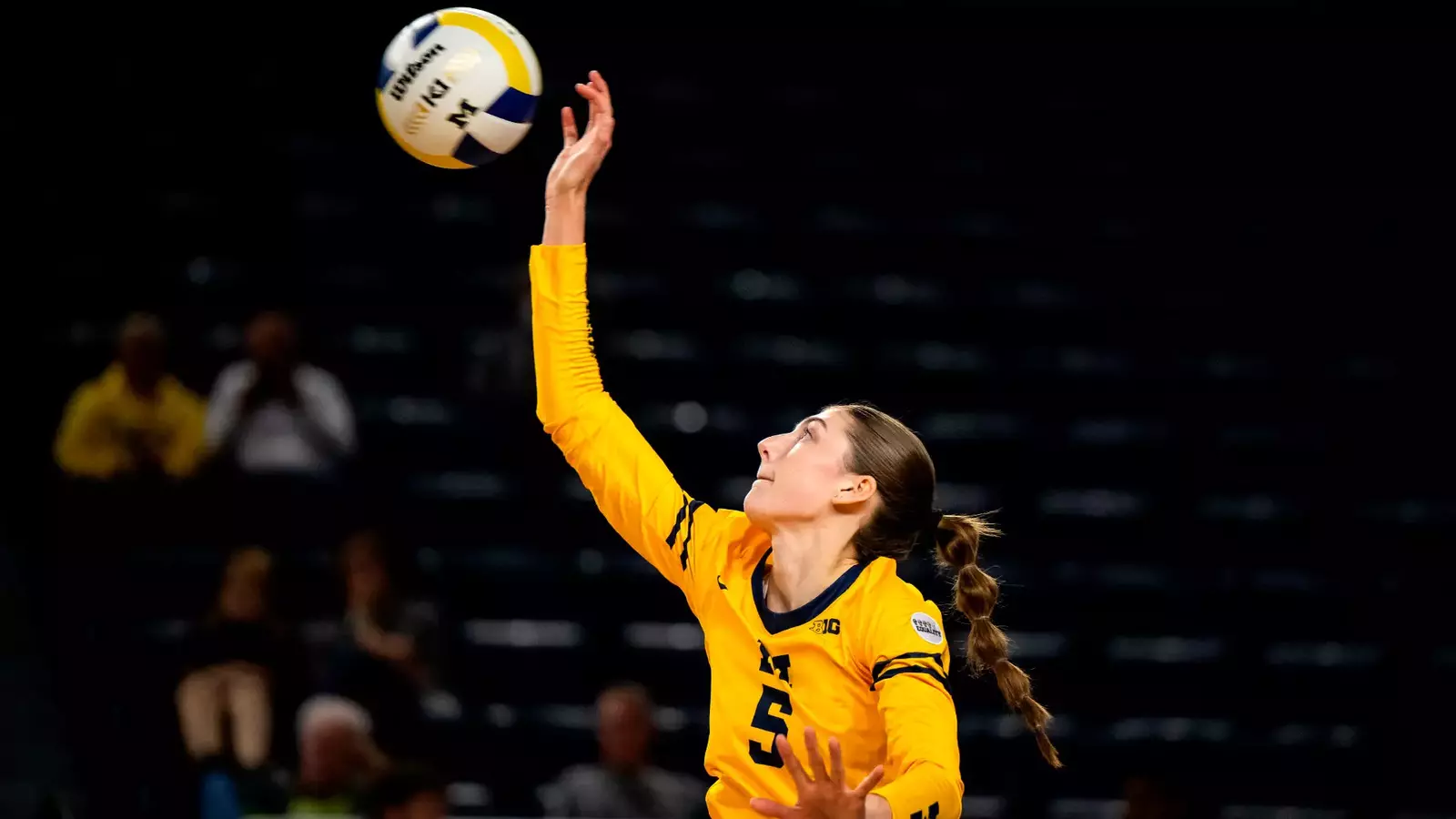 University of Michigan Athletics