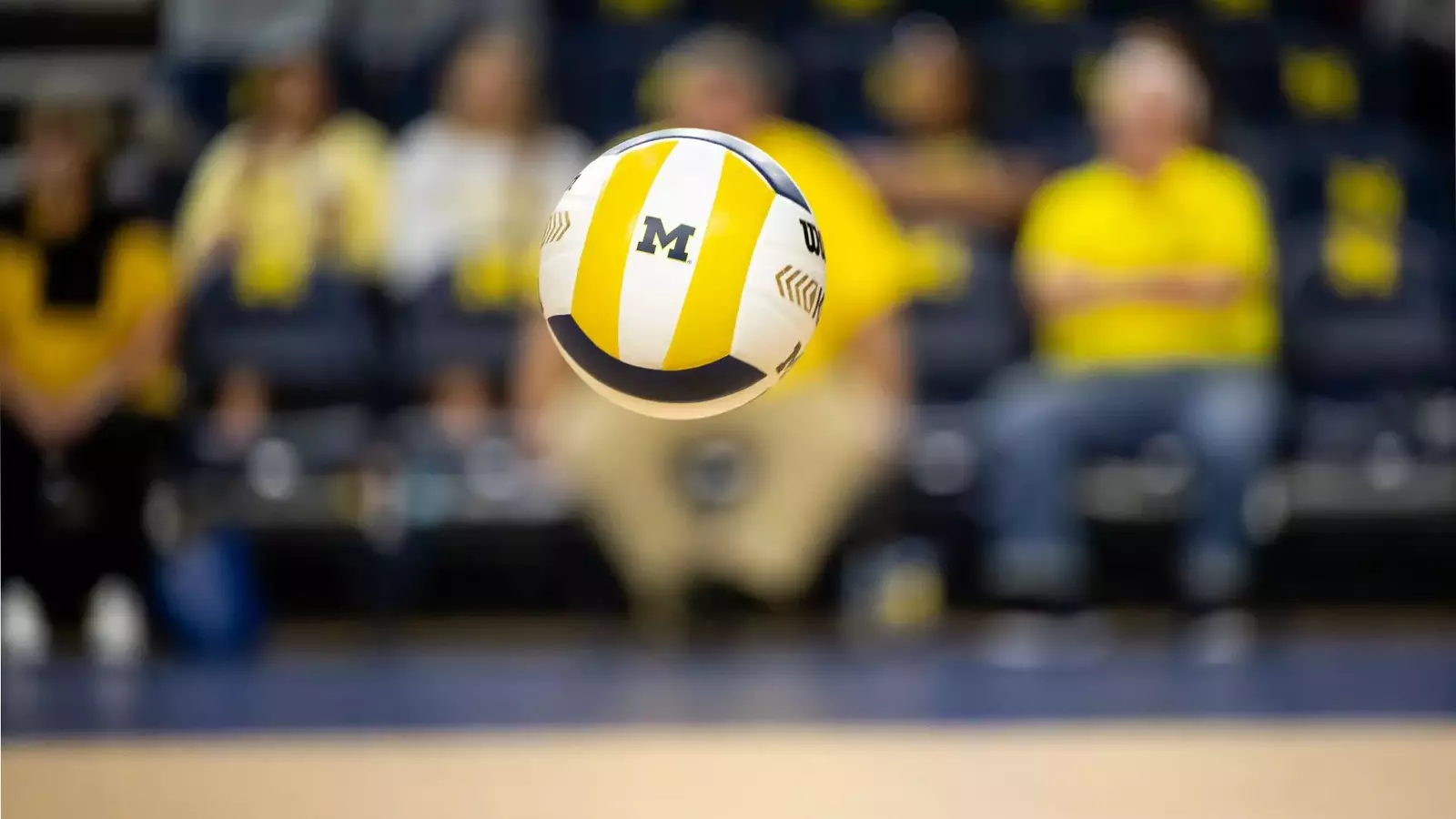 University of Michigan Athletics