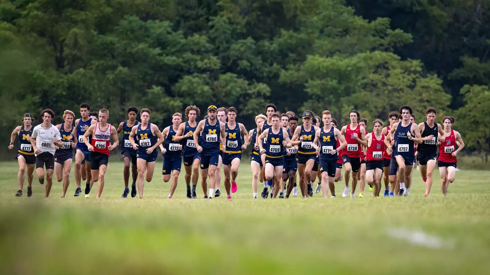 University of Michigan Athletics
