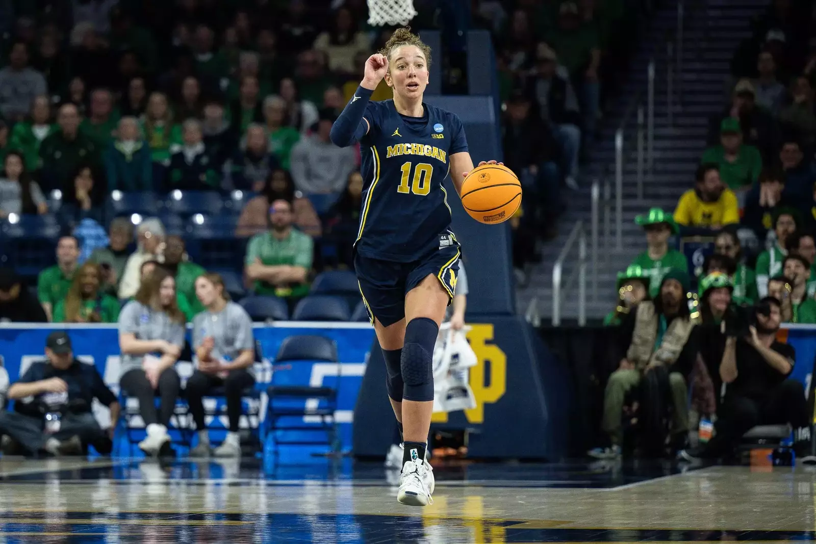 University of Michigan Athletics