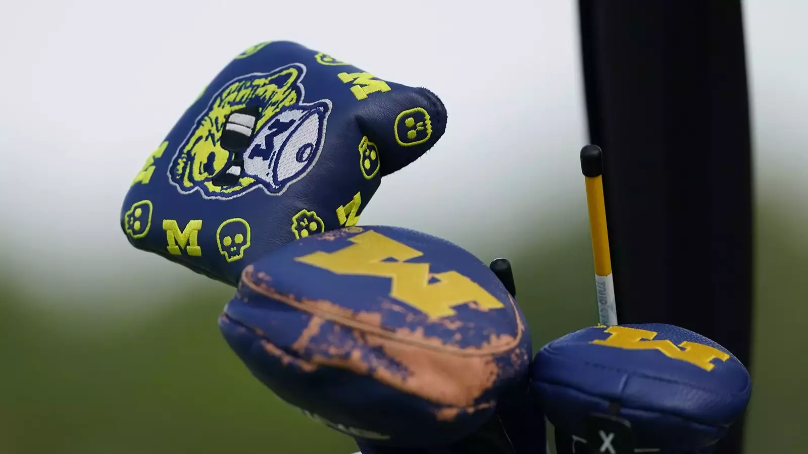 University of Michigan Athletics