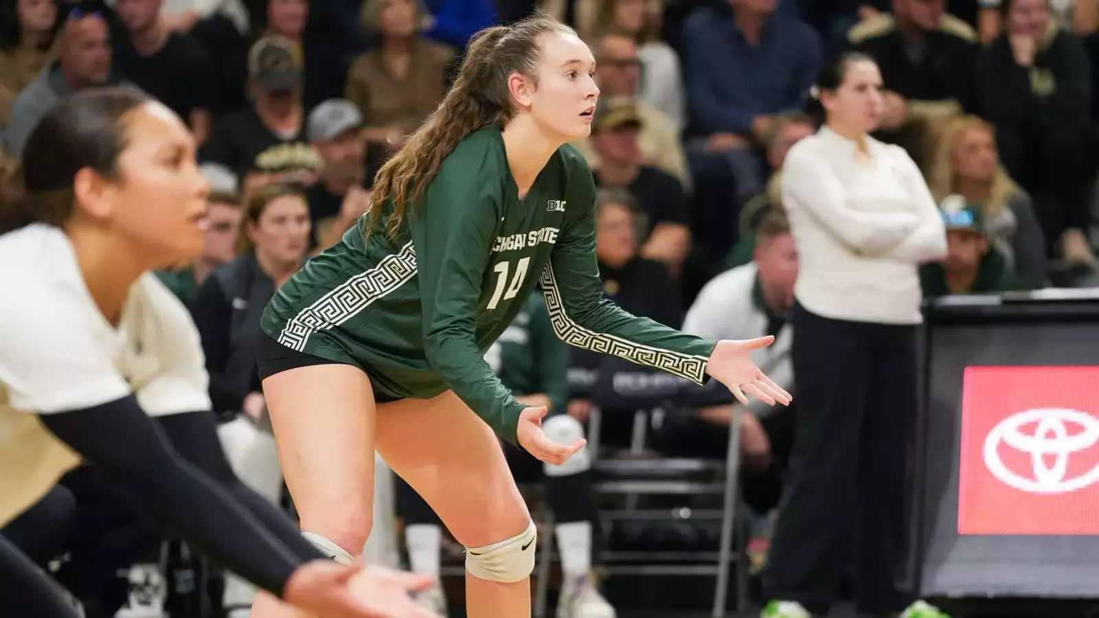 Michigan State Athletics