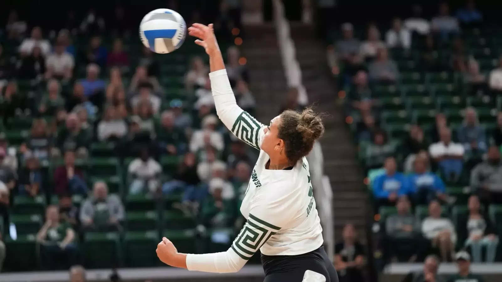 Michigan State Athletics