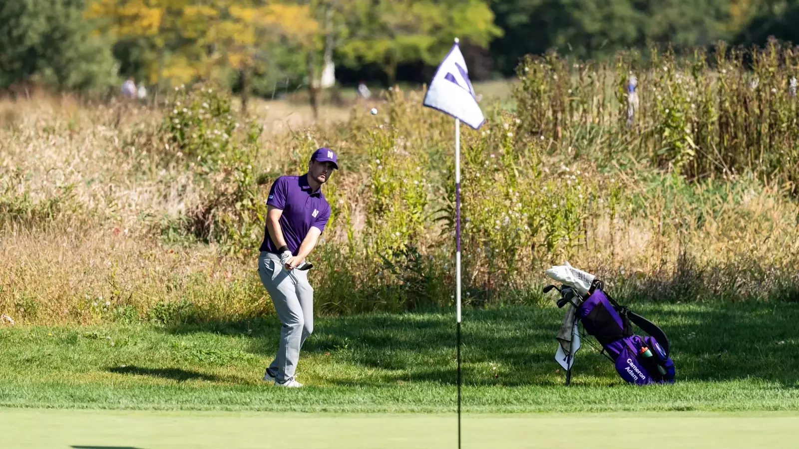 Northwestern University