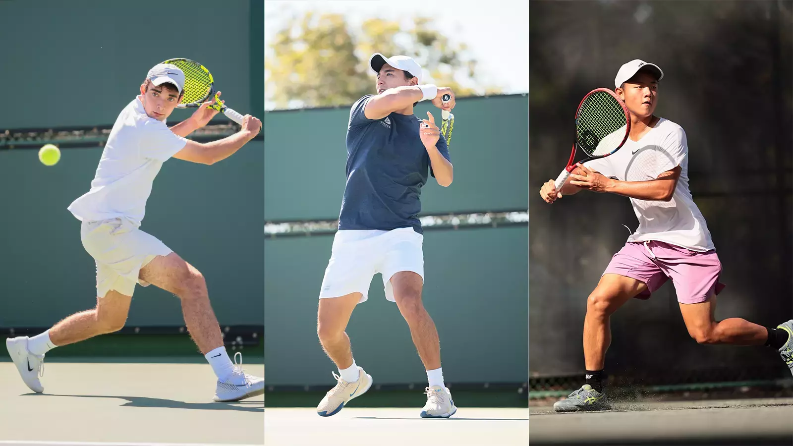 Northwestern University