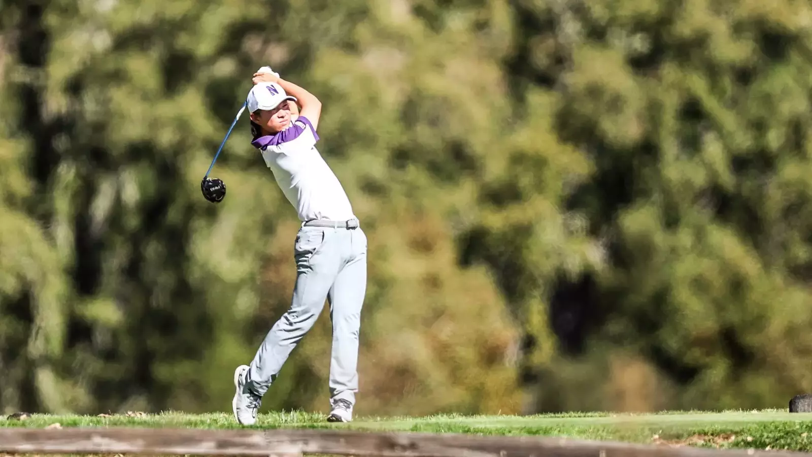 Northwestern University