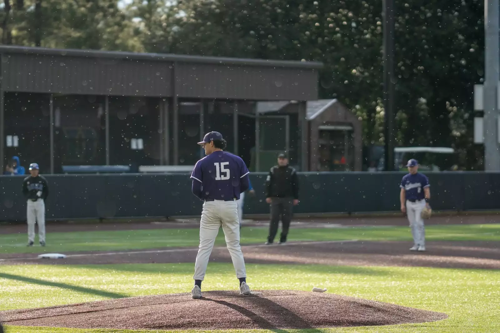 Northwestern University