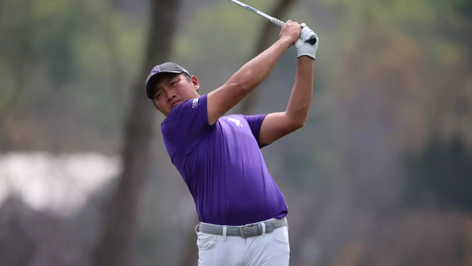 Northwestern University