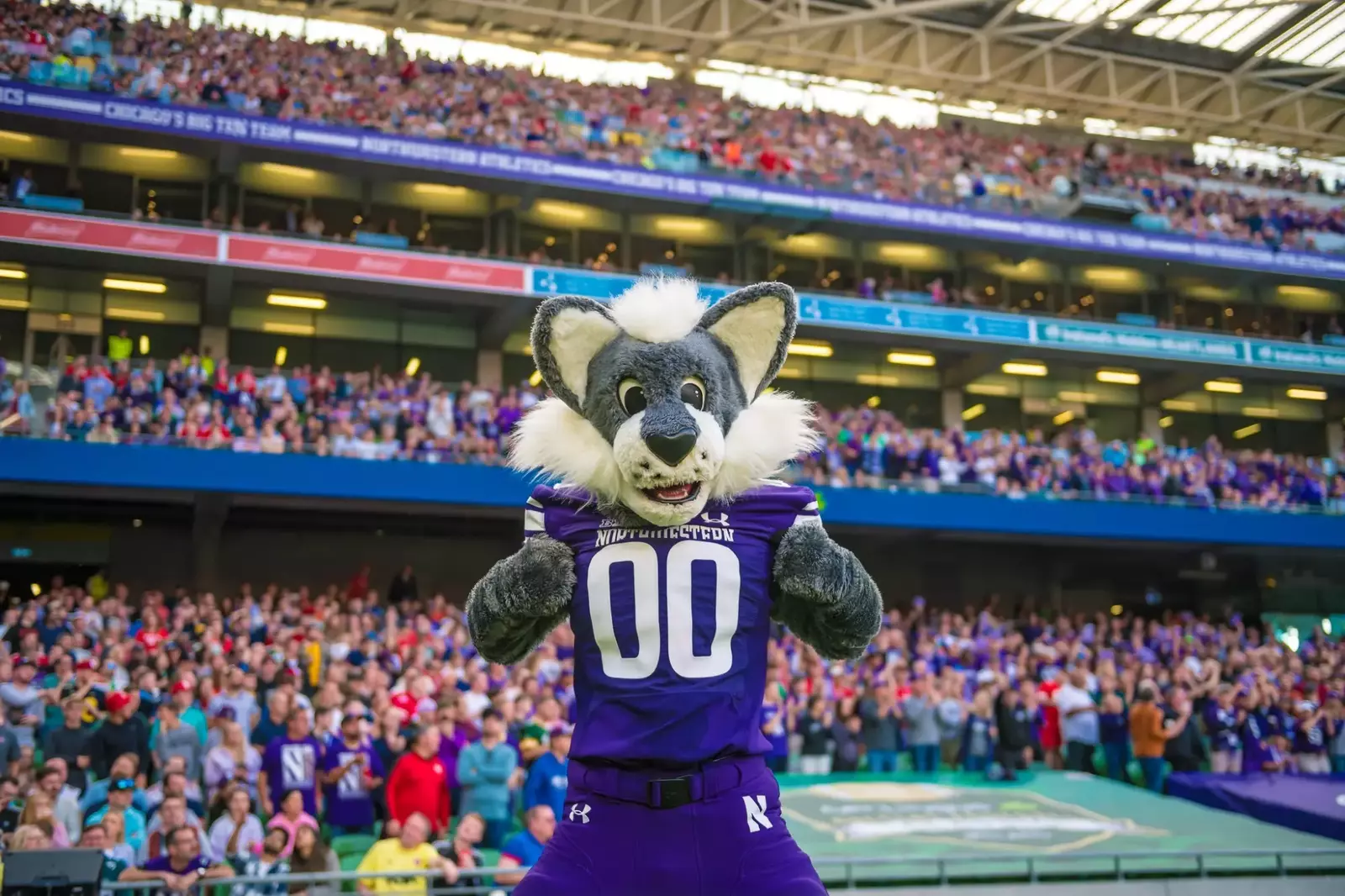 Northwestern University