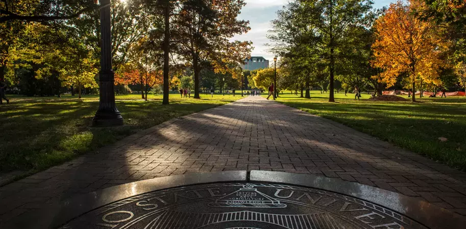 Men’s Swimming and Diving Graduates Eight in Spring 2020 Commencement ...