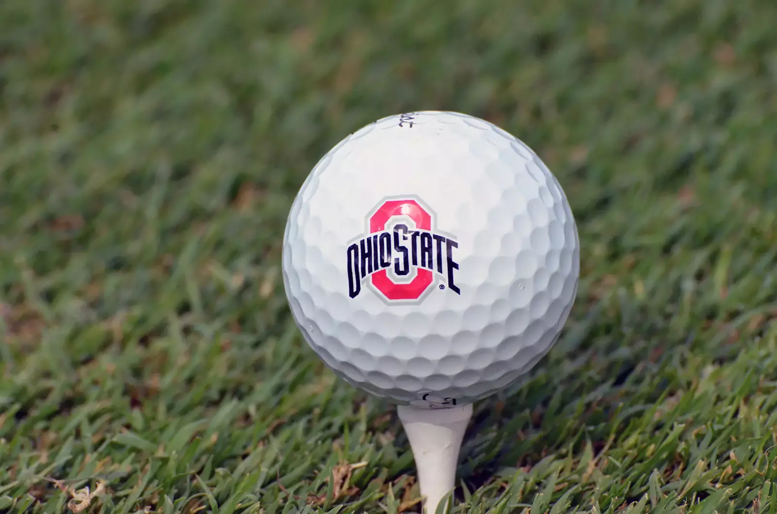 Six Golfers Claim Academic All-Big Ten Honors - Ohio State