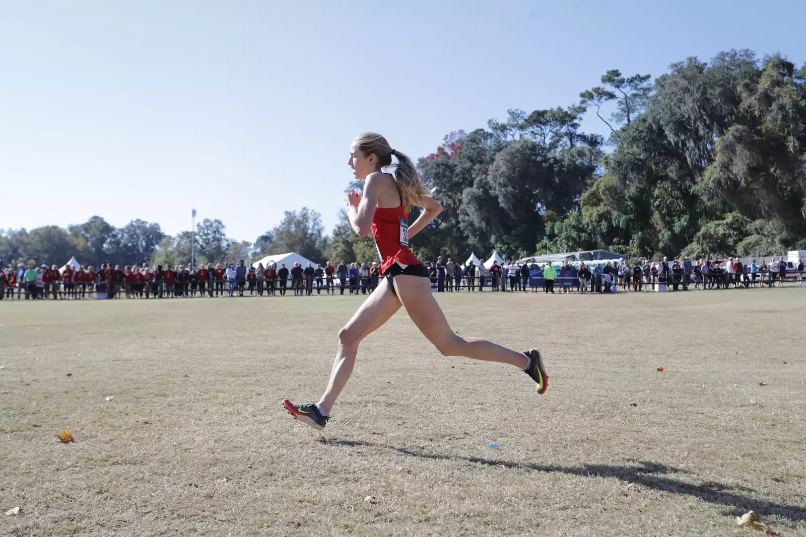 Engel Runs at NCAA Championships - Ohio State
