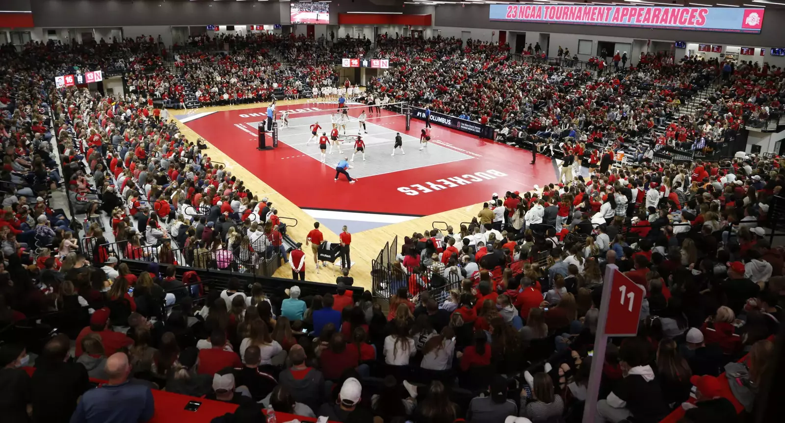 Women’s Volleyball 2023 Season Tickets on Sale Now - Ohio State