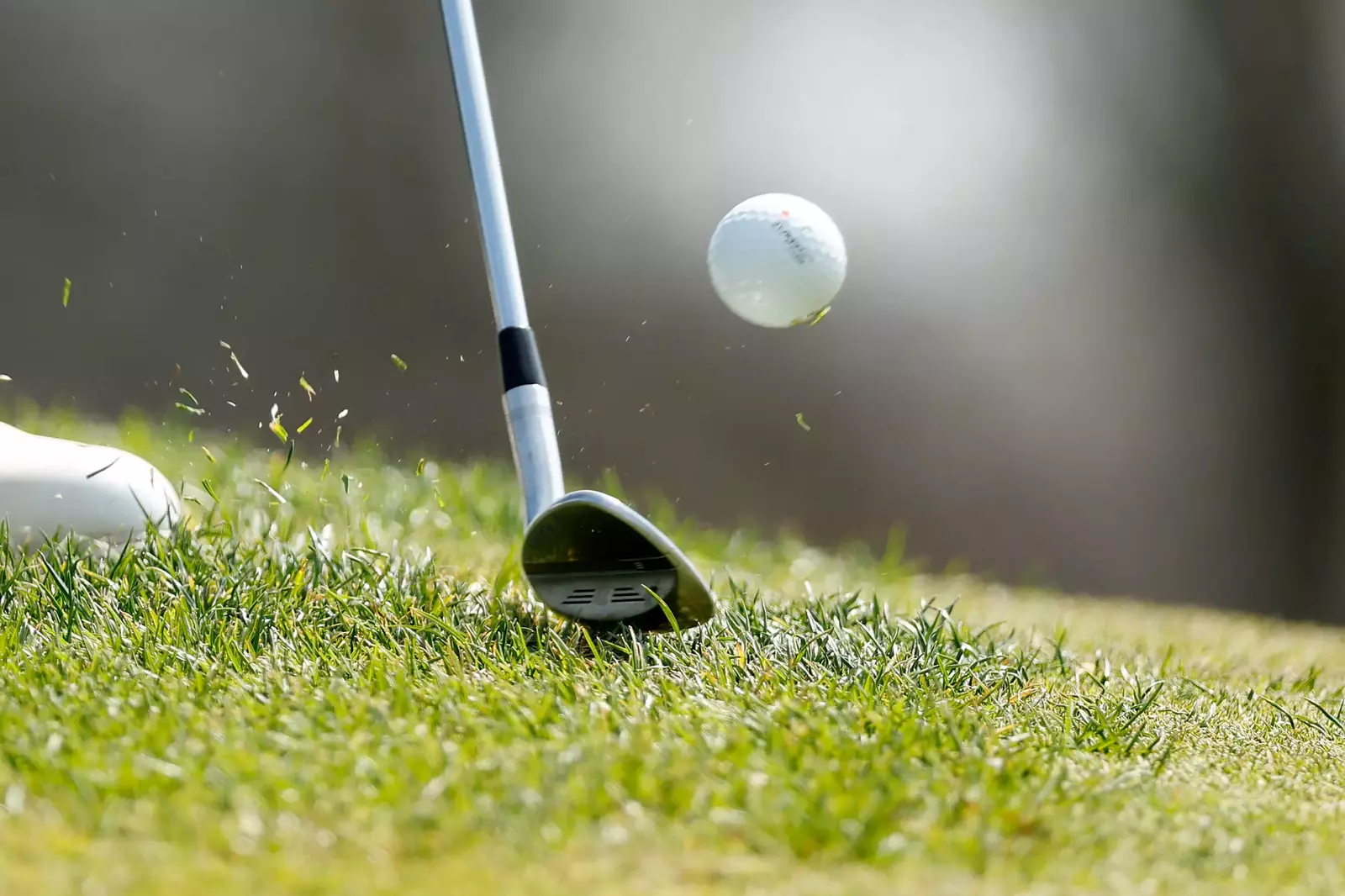 Buckeyes to Host 50th Robert Kepler Intercollegiate - Ohio State