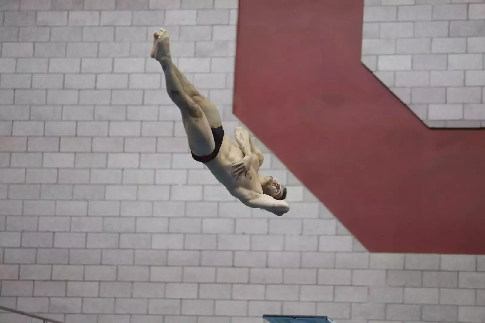 OSU Divers Set For Winter Nationals - Ohio State