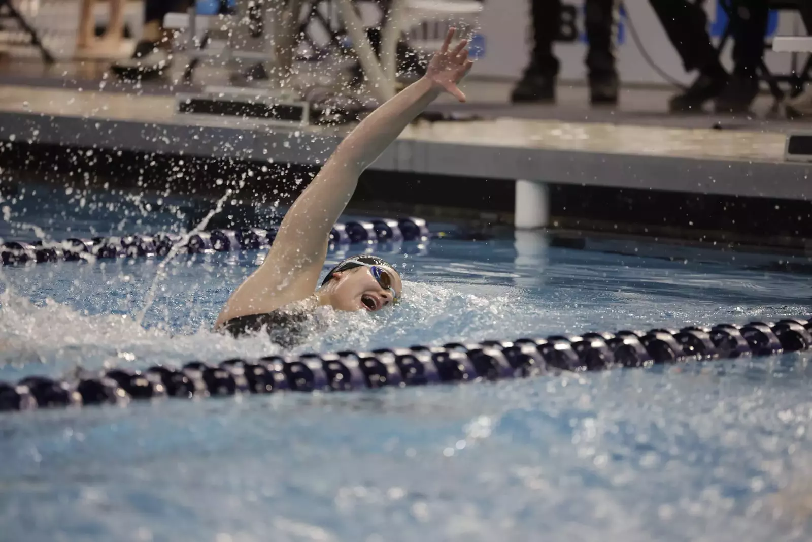 Women’s Swimming & Diving Competes at NCAA Championships This Week ...