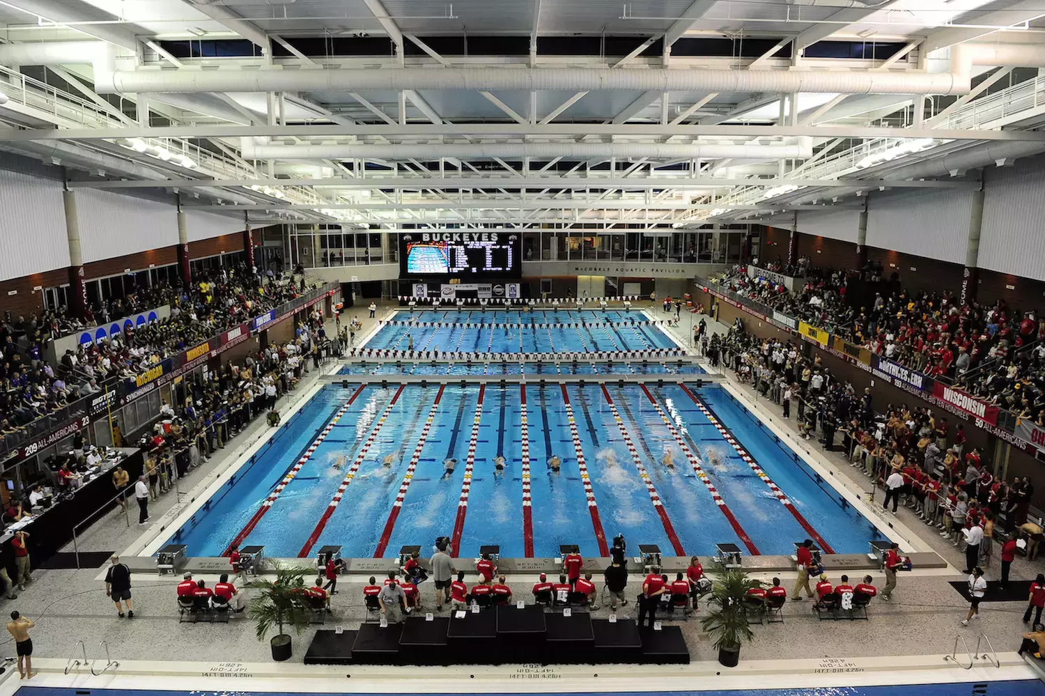 35 from Swimming & Diving Named CSCAA Scholar All-Americans - Ohio State