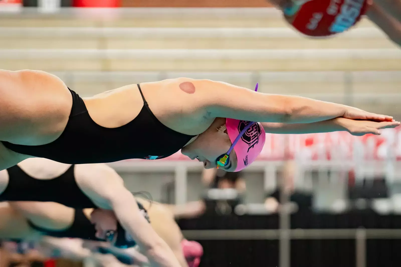 Swimming & Diving Wins Big Against Denison - Ohio State
