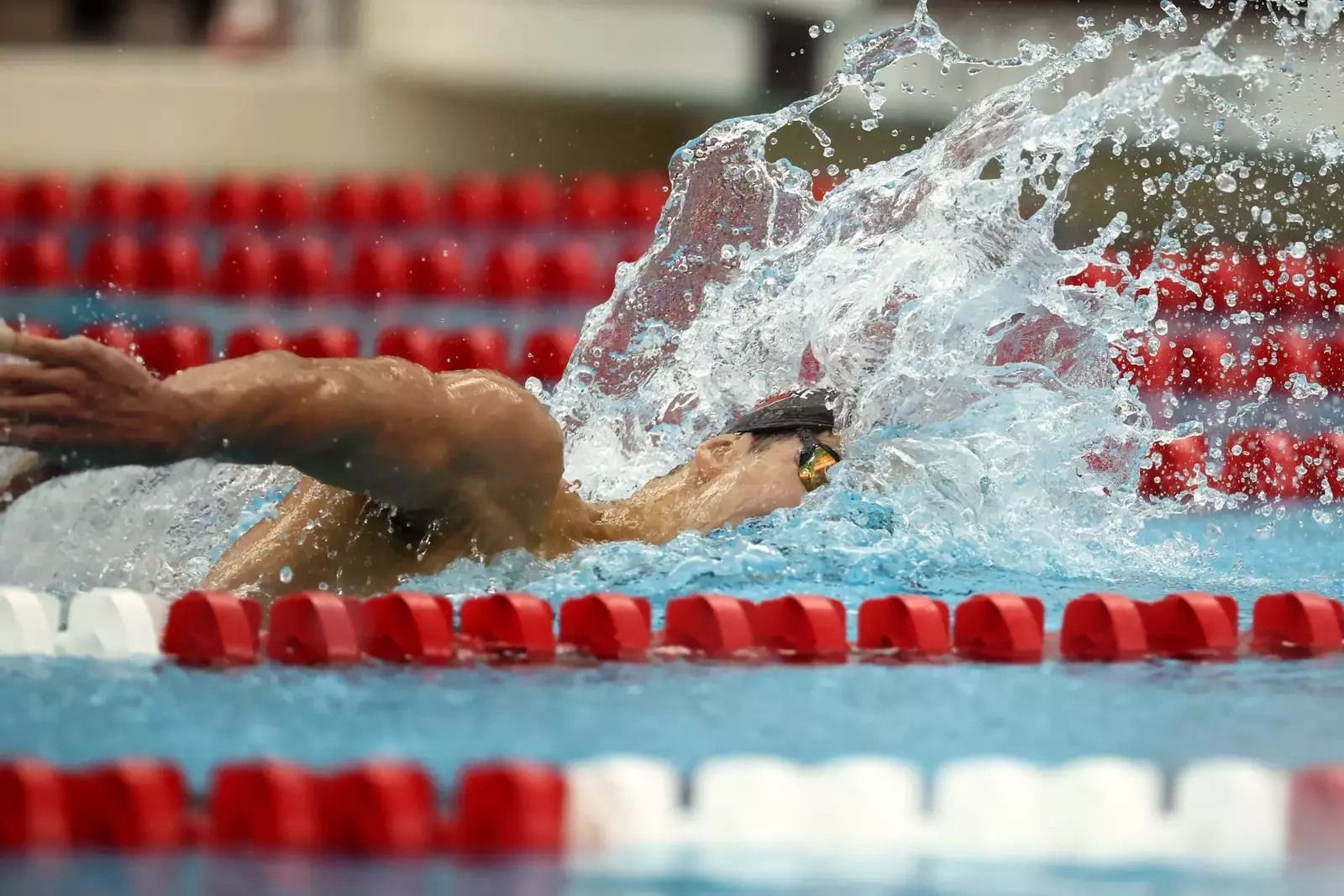 Swimming & Diving Hosts Ohio State Fall Invitational This Week - Ohio State