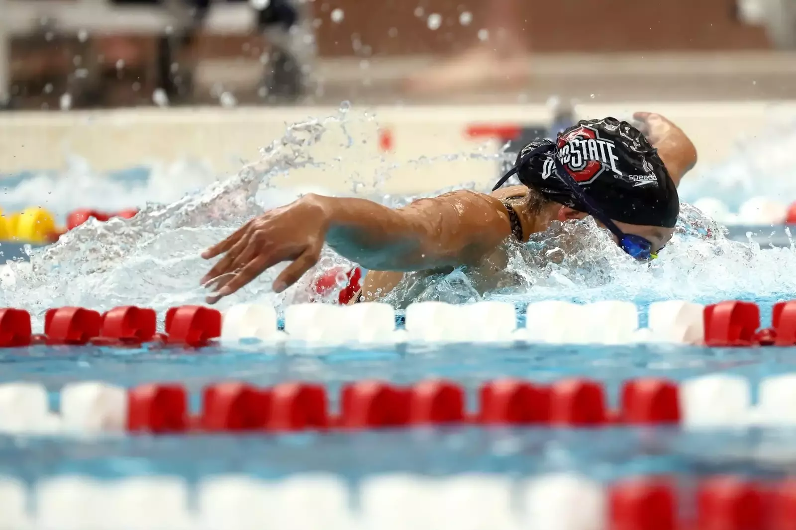 Swimming & Diving Hosts Ohio State Fall Invitational This Week - Ohio State